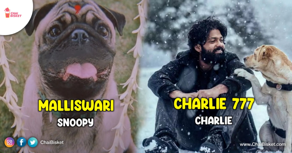 Kukka Kadhu, It's An Emotion. Iconic Pet Dogs From Telugu Movies That