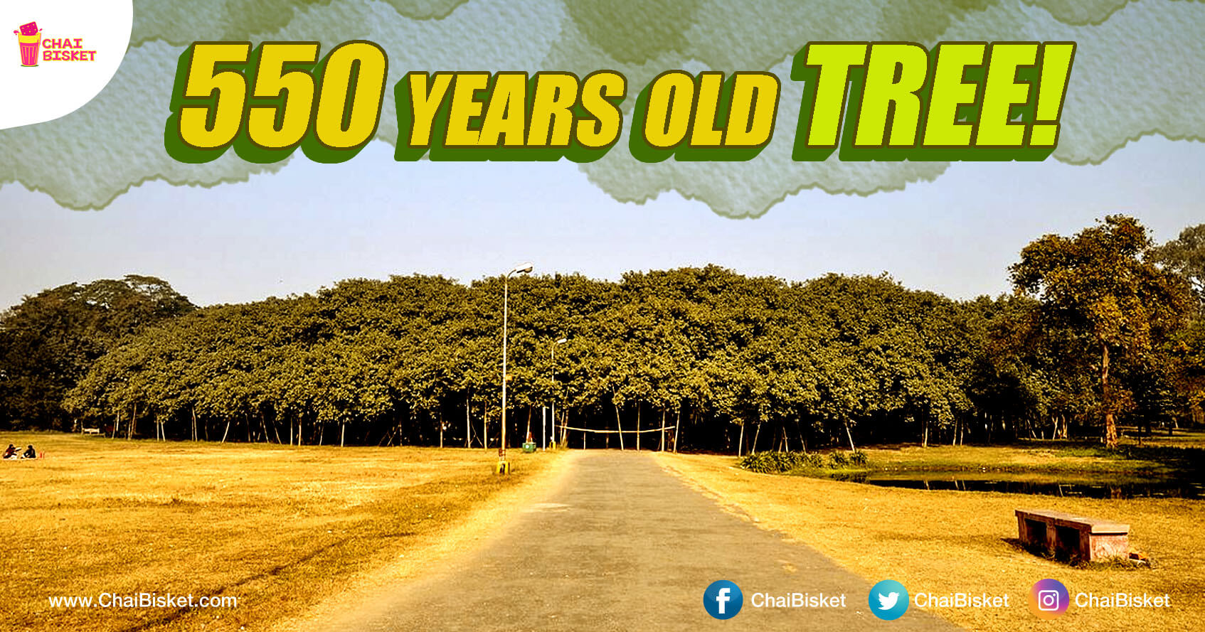 This Banyan Tree In Andhra Pradesh Holds The Guinness Record For Being