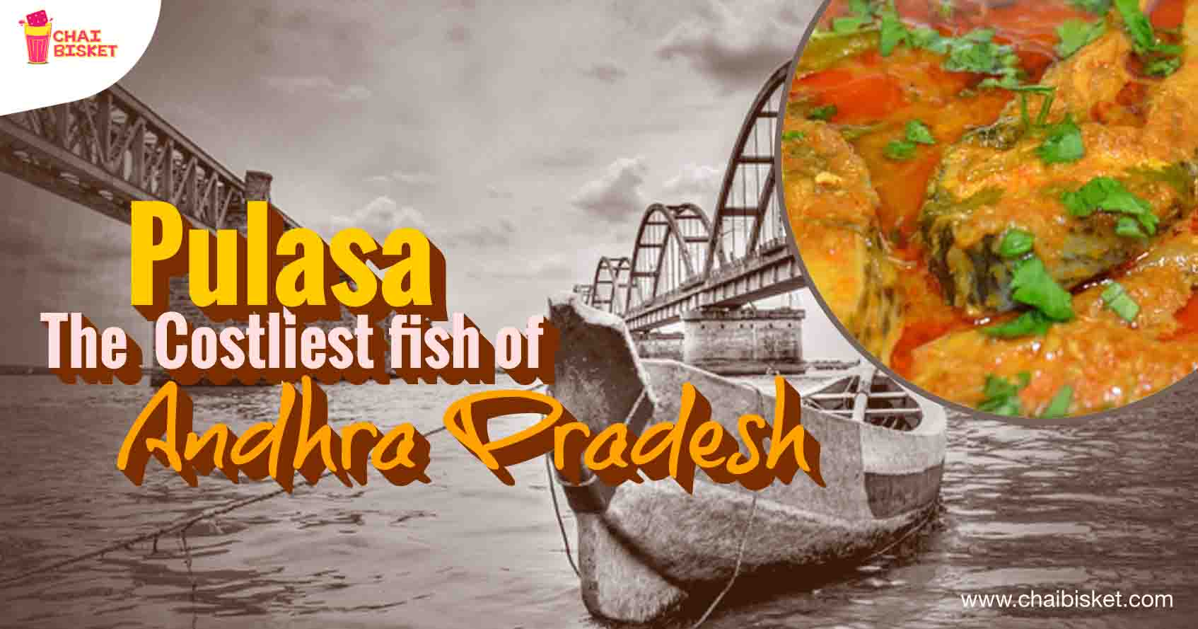 Pulasa Fish - The Costliest fish of Andhra Pradesh!