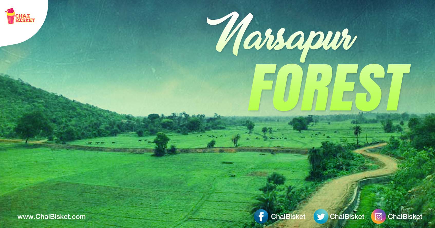 Here Is Why Medak District's Narsapur Forest Is The Ideal Destination