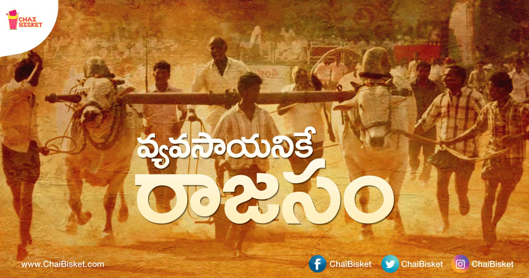 'Ongole Gittha'- The Iconic Bull Breed That Is Internationally Famous