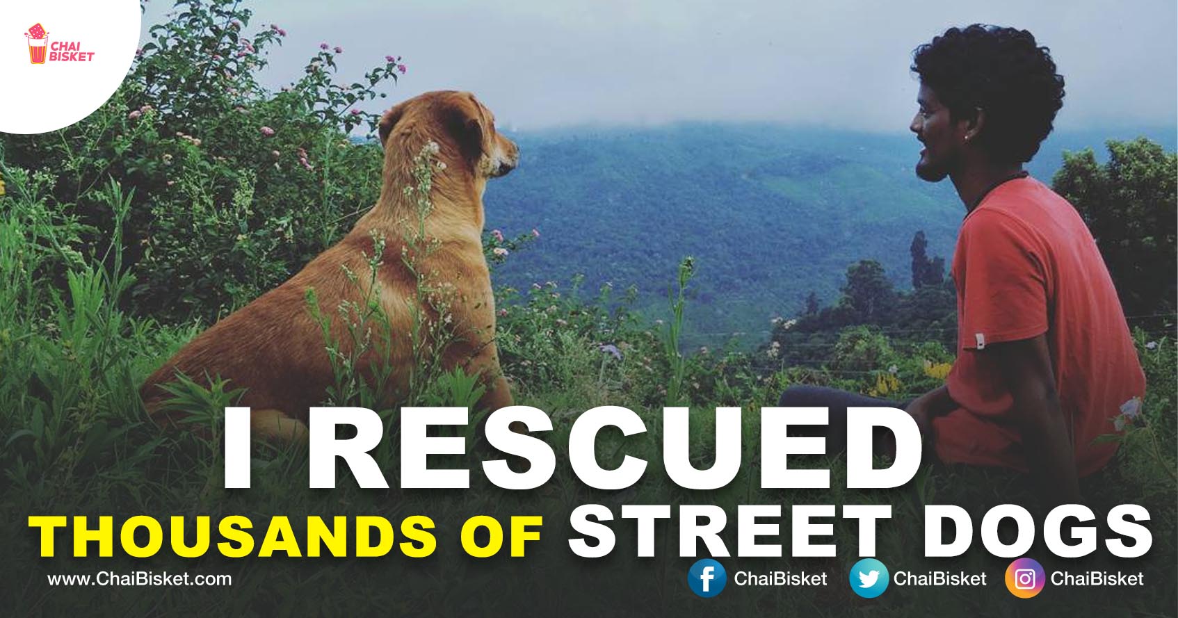 Meet Teja, A Man With Golden Hearts Who's Rescuing Thousands Of Stray